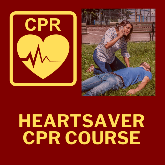 AMERICAN HEART ASSOCIATION HEARTSAVER® CPR/AED/FIRST AID ONLINE COURSE ...
