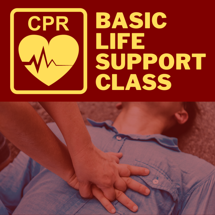 AMERICAN HEART ASSOCIATION AHA BASIC LIFE SUPPORT (BLS) ONLINE COURSE ...